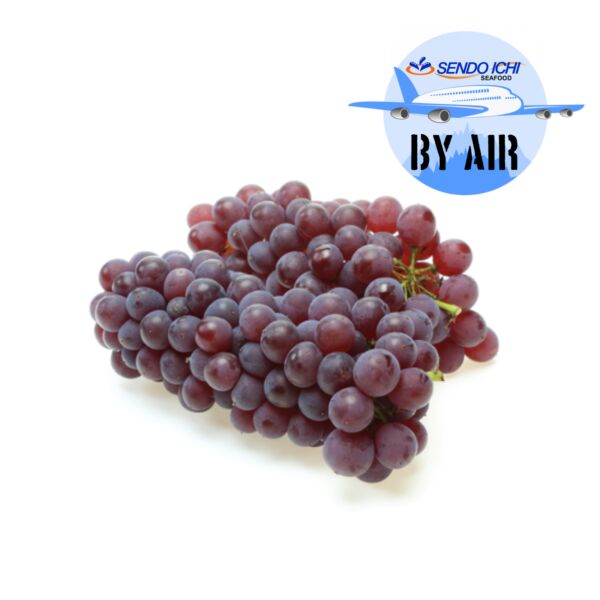 Sendo Ichi Malaysia Premium Seafood - Freshness First